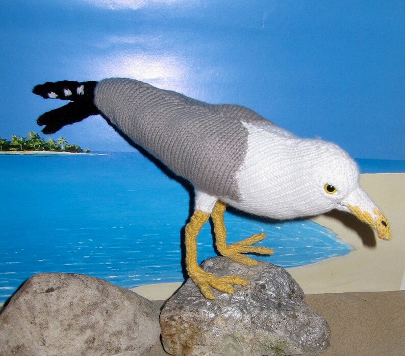 Knitting Pattern Only My Pet Seagull Knitting Pattern - Etsy