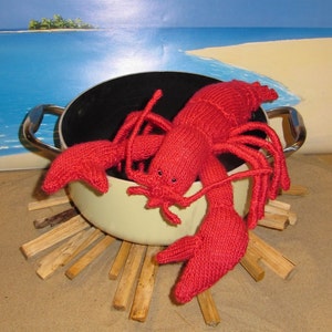 Instant Digital Pdf Download Knitting Pattern Madmonkeyknits Lottie ...