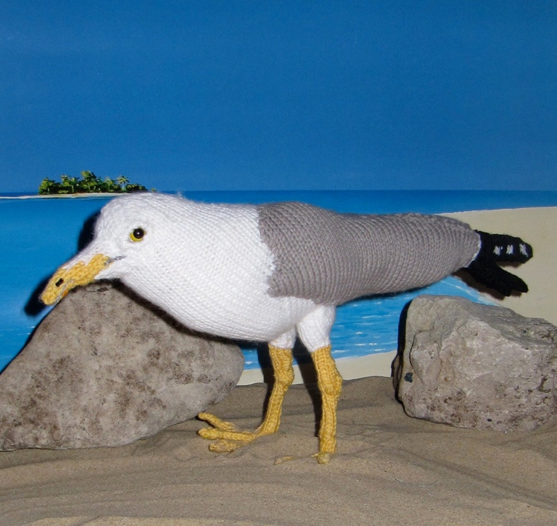 Knitting Pattern Only My Pet Seagull Knitting Pattern | Etsy