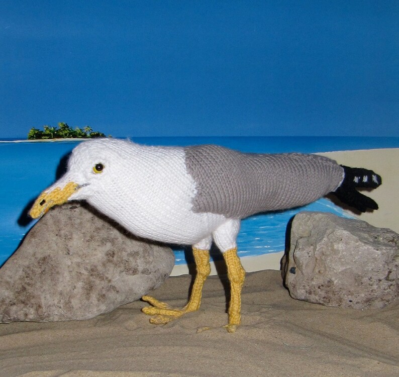 Knitting Pattern Only My Pet Seagull Knitting Pattern | Etsy