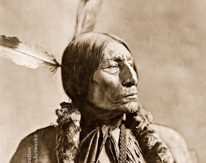 Chief Wolf Robe Professionally Restored Photograph of Vintage - Etsy