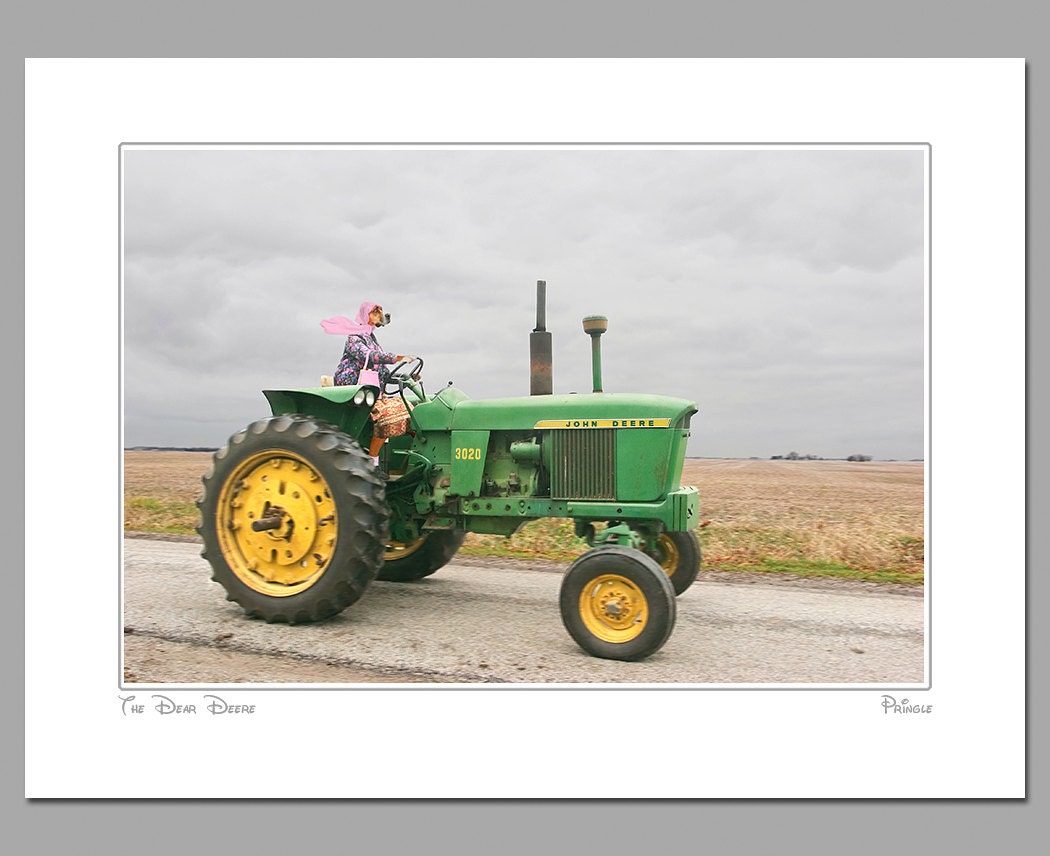 The Dear Deere Funny Large Original Photograph of Female | Etsy