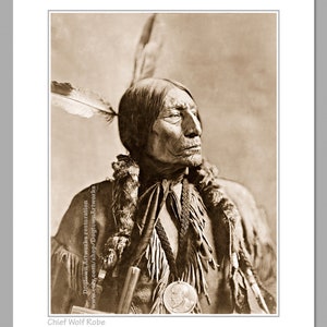 Chief Wolf Robe, Professionally Restored Photograph of Vintage Native ...