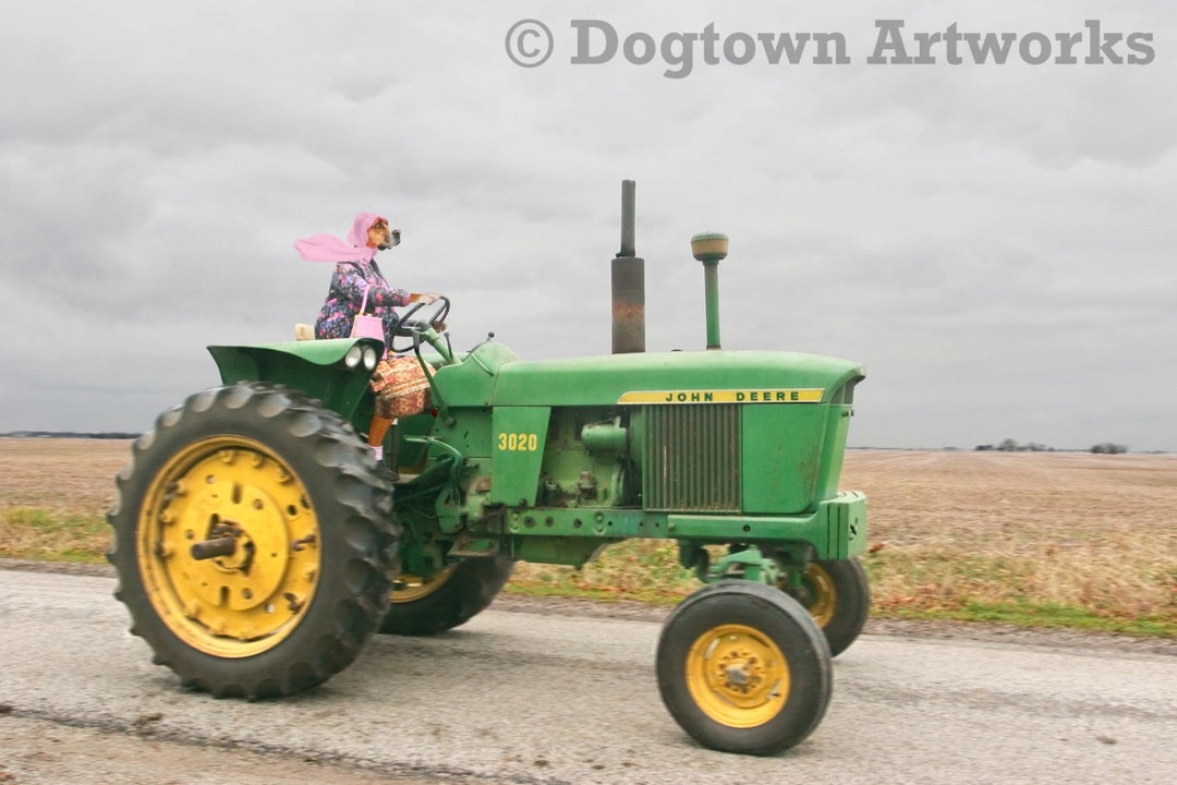 Funny Boxer Dog Photograph: Vintage John Deere Tractor Art Print - Etsy