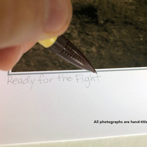 Kat-o-capee, Professionally Restored Large Photograph of Vintage Native ...