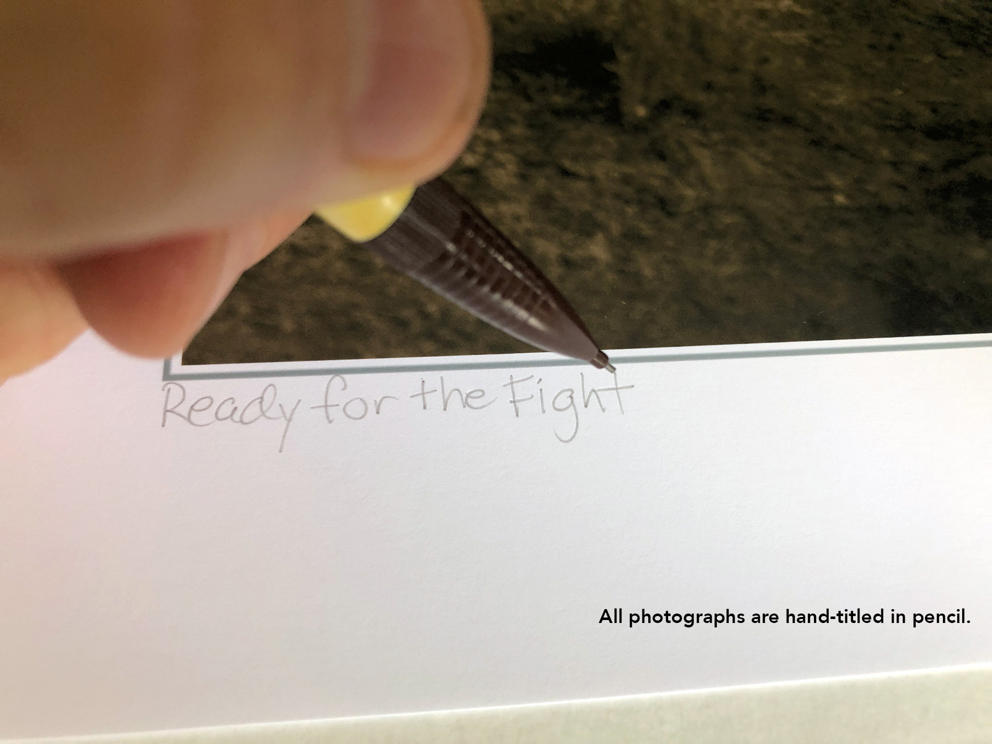 Kat-o-capee, Professionally Restored Large Photograph of Vintage Native ...