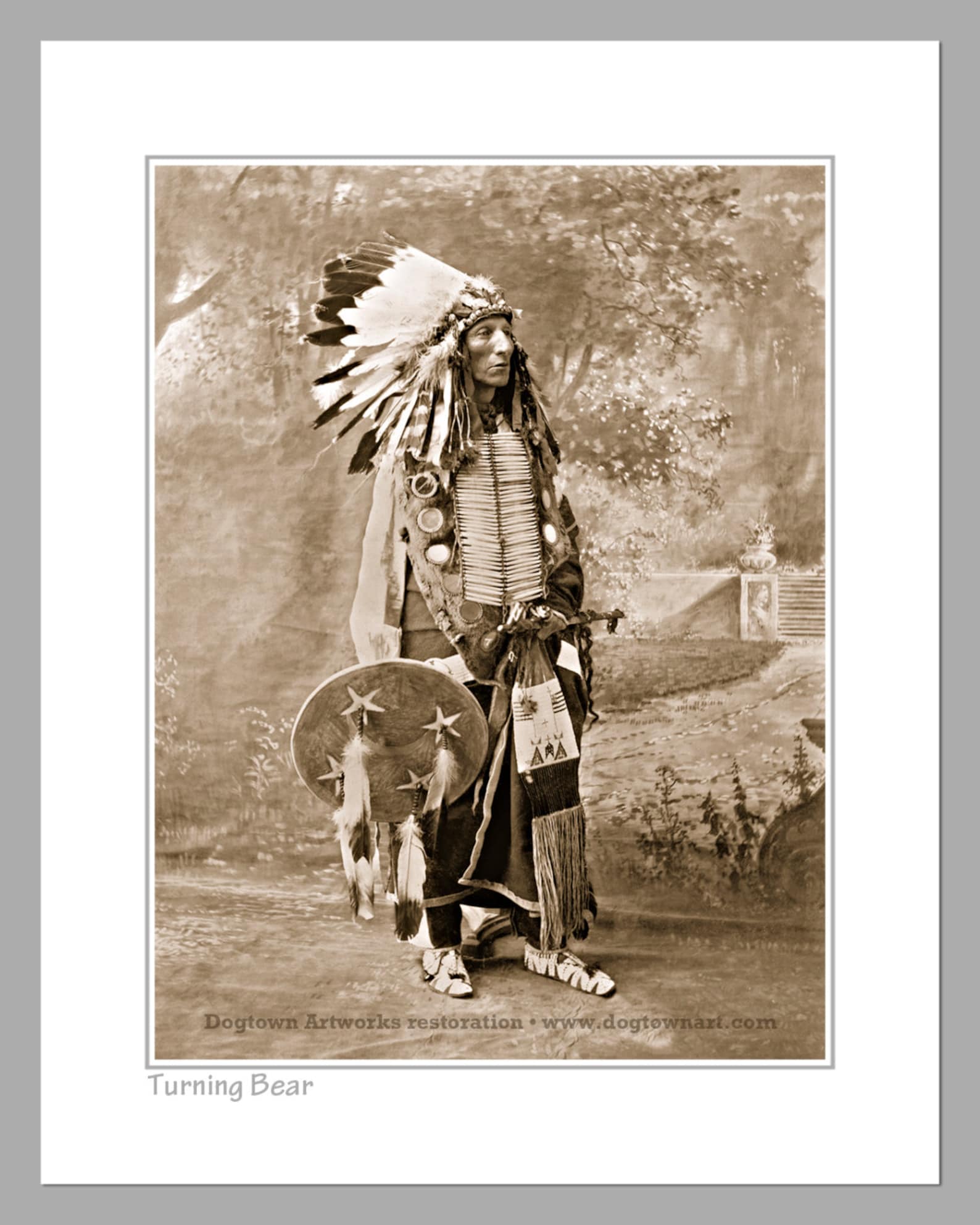 Turning Bear, Professionally Restored Large Photograph of Vintage ...
