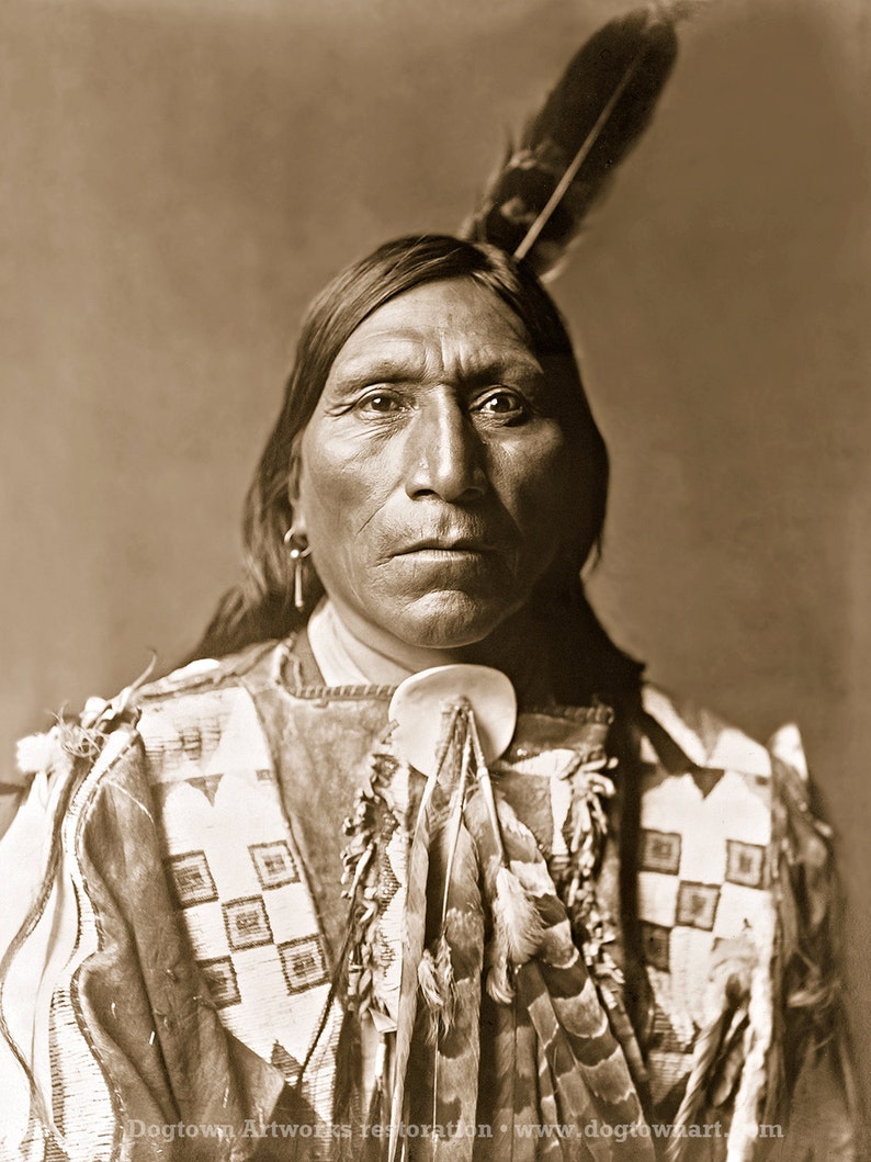 Little Hawk Professionally Restored Photograph of Vintage - Etsy