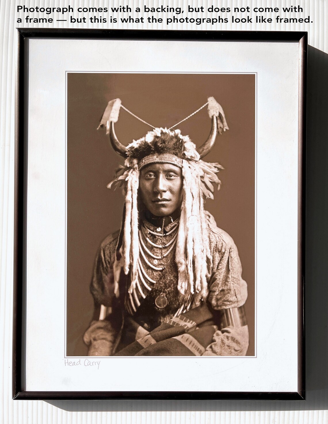 Lakota Sioux Chief Portrait: Restored Vintage Native American ...