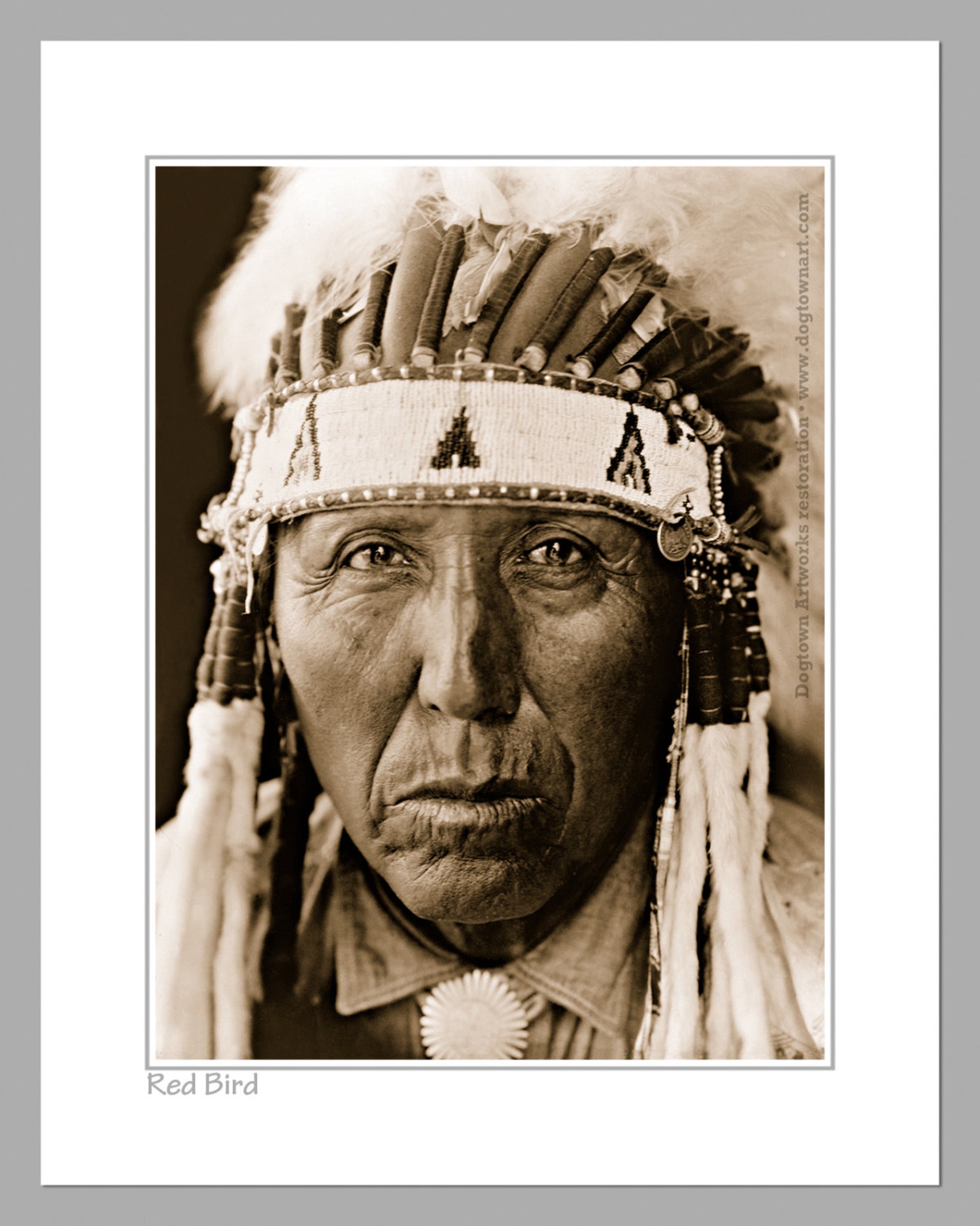 Red Bird, Professionally Restored Photograph of Vintage Native American ...