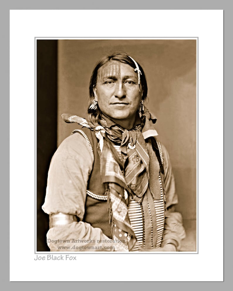 Joe Black Fox Professionally Restored Large Photograph of - Etsy UK