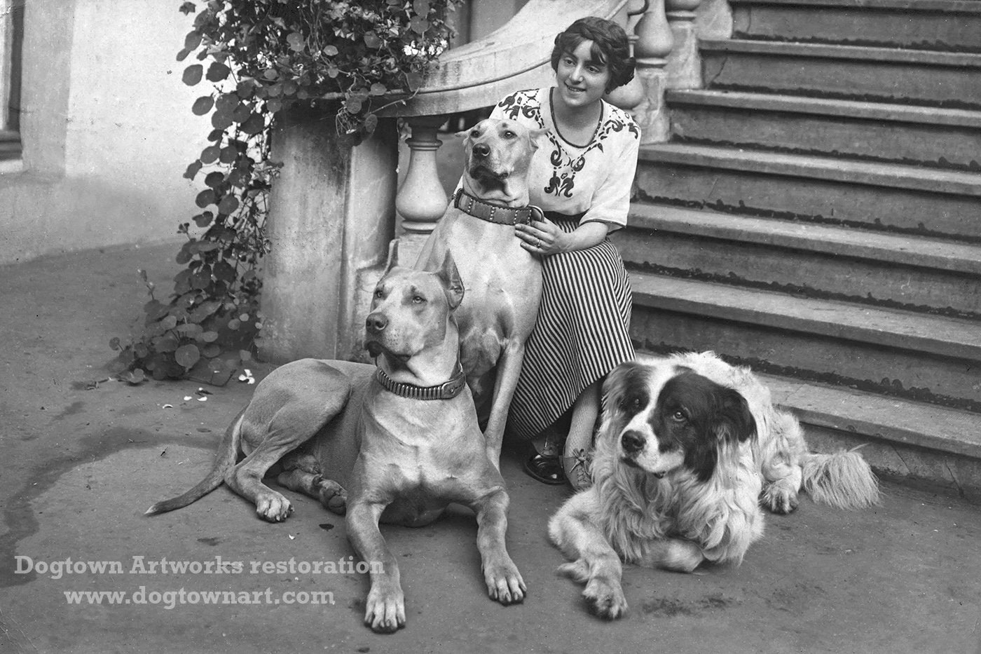 Restaurierte Vintage Foto deutsche Frau mit ihrer Dogge und ...