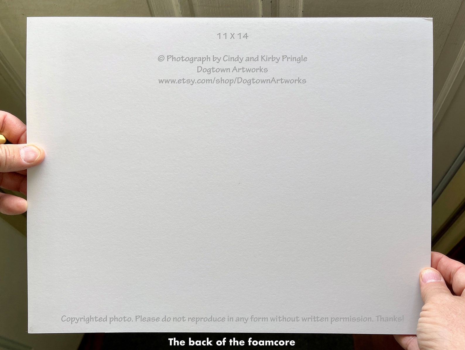 The Dear Deere Funny Large Original Photograph of Female - Etsy