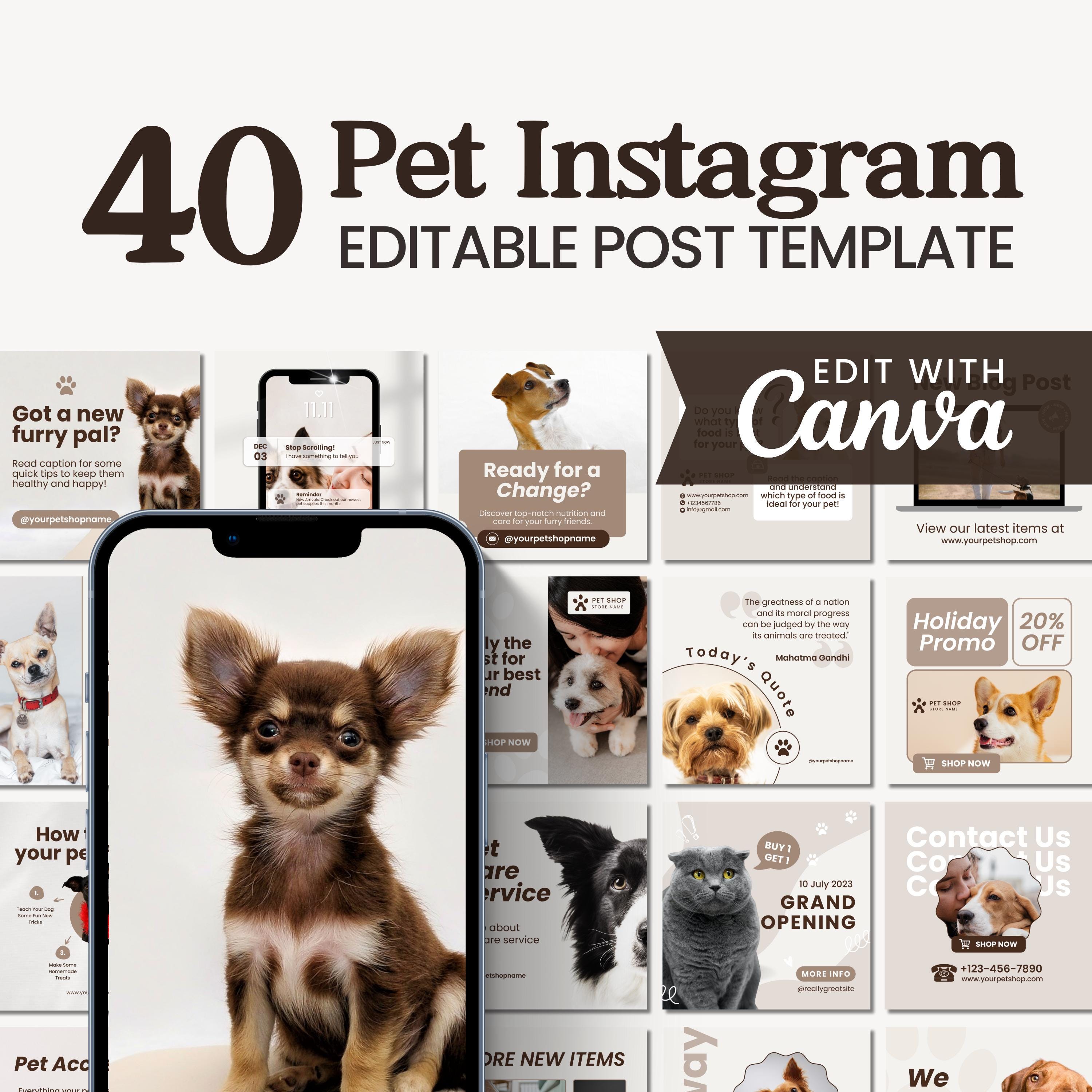 Pets Instagram Post Template | Pet Instagram Story Template | Social ...