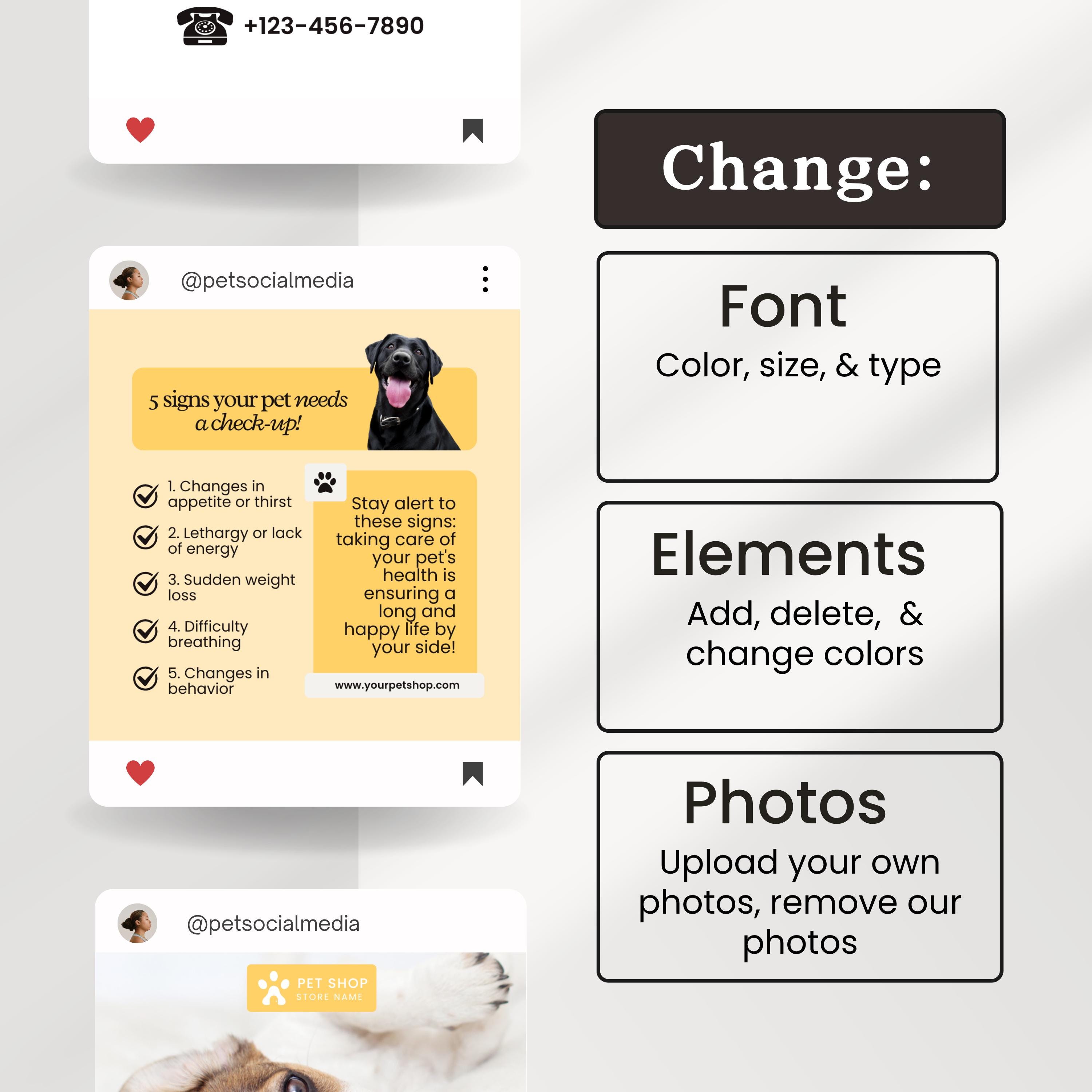 Pets Instagram Post Template | Pet Instagram Story Template | Social ...