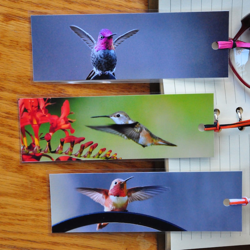 Hummingbird Bookmark - Etsy