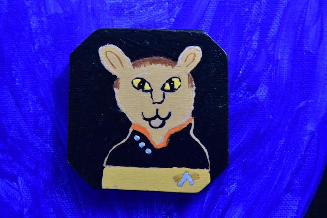 Data Cat Star Trek, Next Generation Hand Painted Magnet. - Etsy