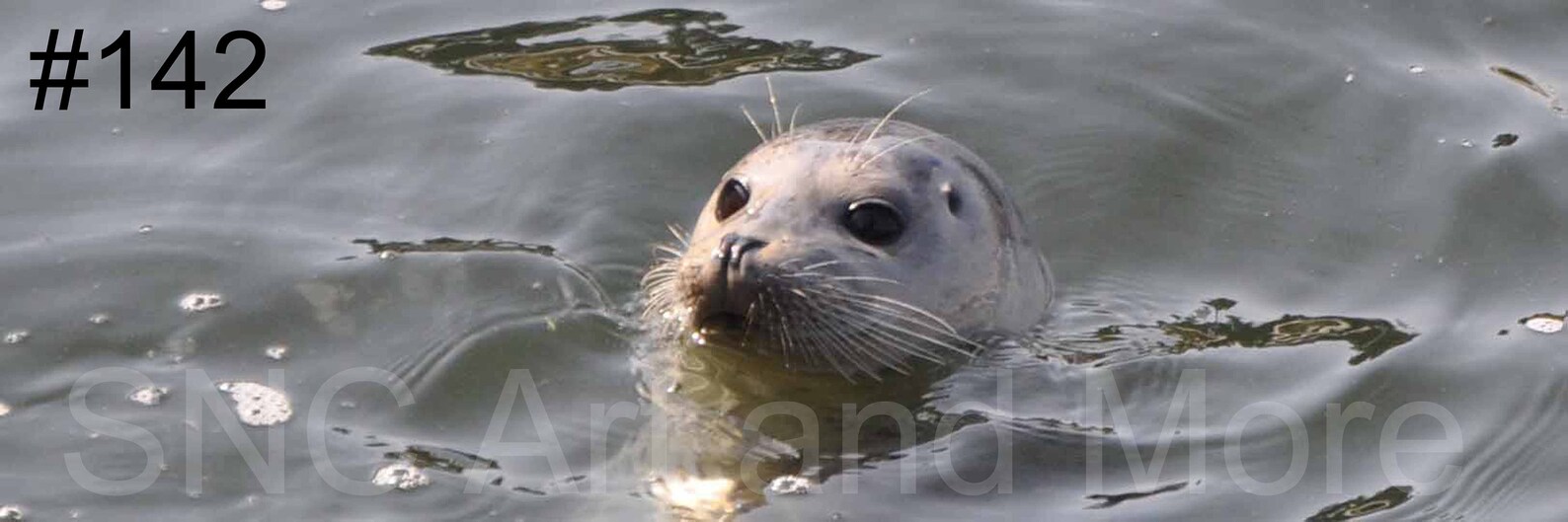 Seal Bookmarks - Etsy