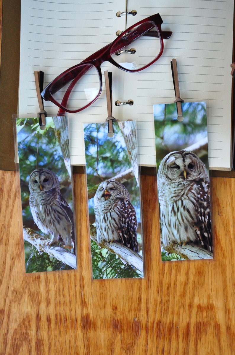 Barred Owl Bookmark - Etsy