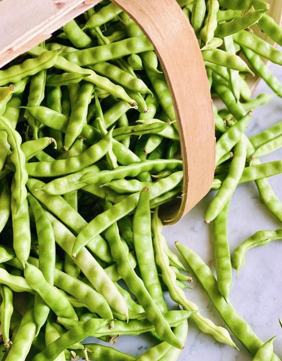 Appalachian Greasy Bean Seeds FREE SHIPPING - Etsy