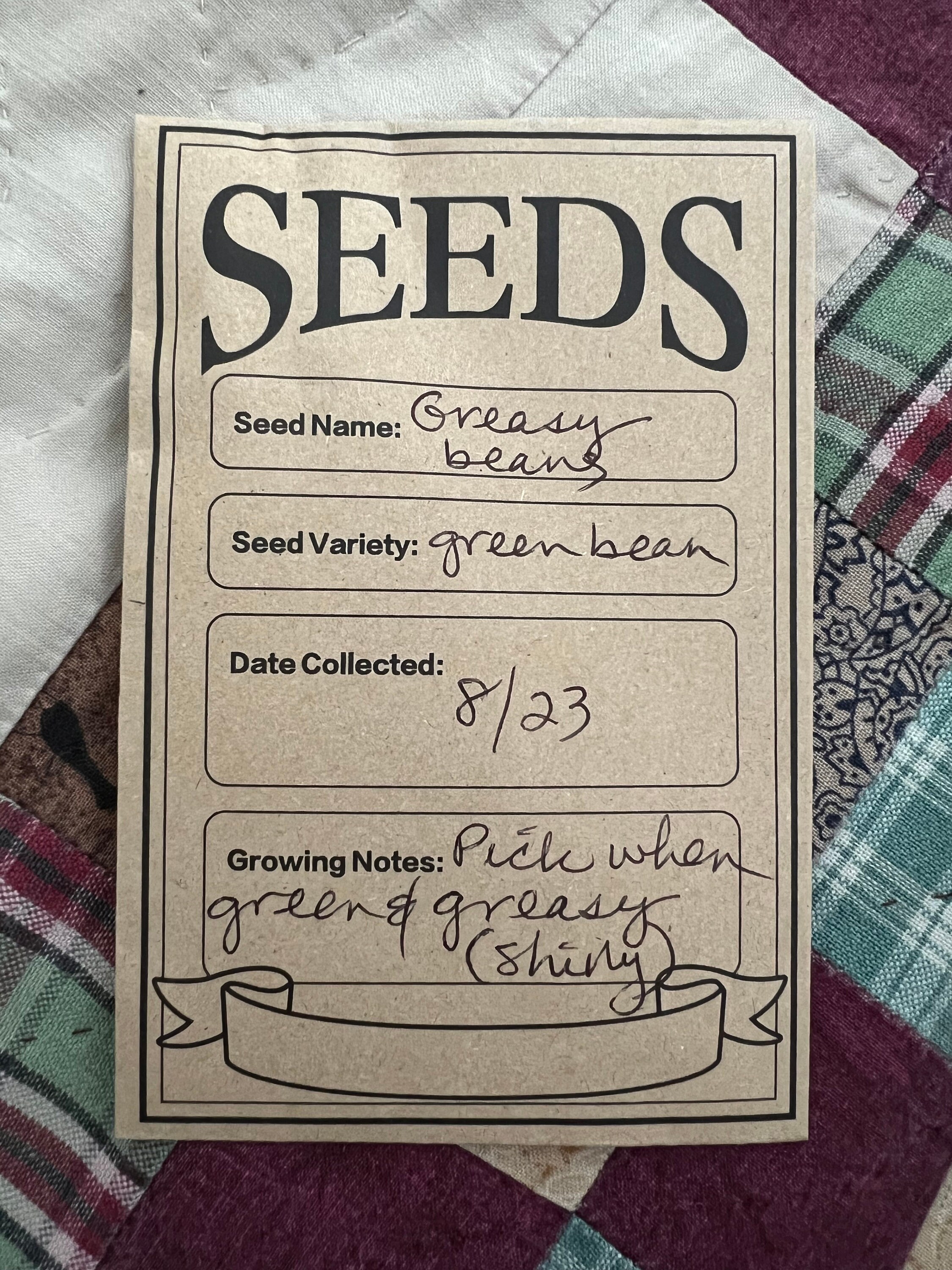 Appalachian Greasy Bean Seeds FREE SHIPPING - Etsy