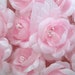 Pale Pink Satin Rose Pick - Etsy