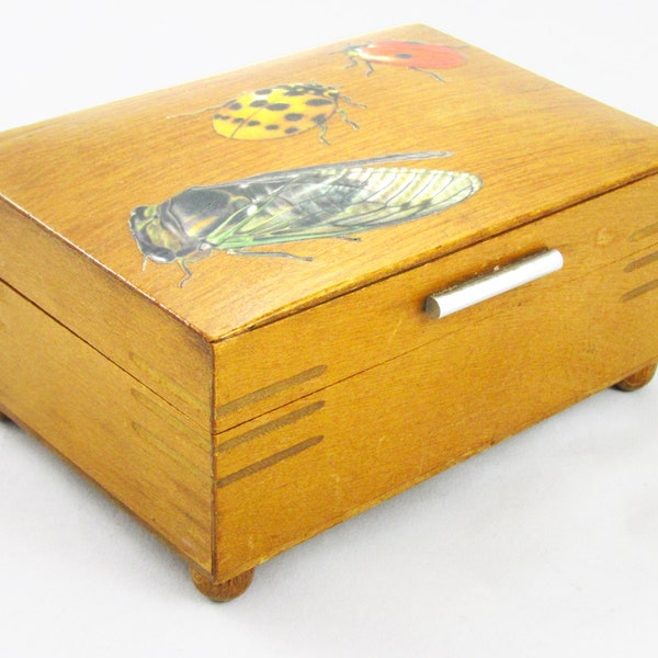 Bug Box - Etsy