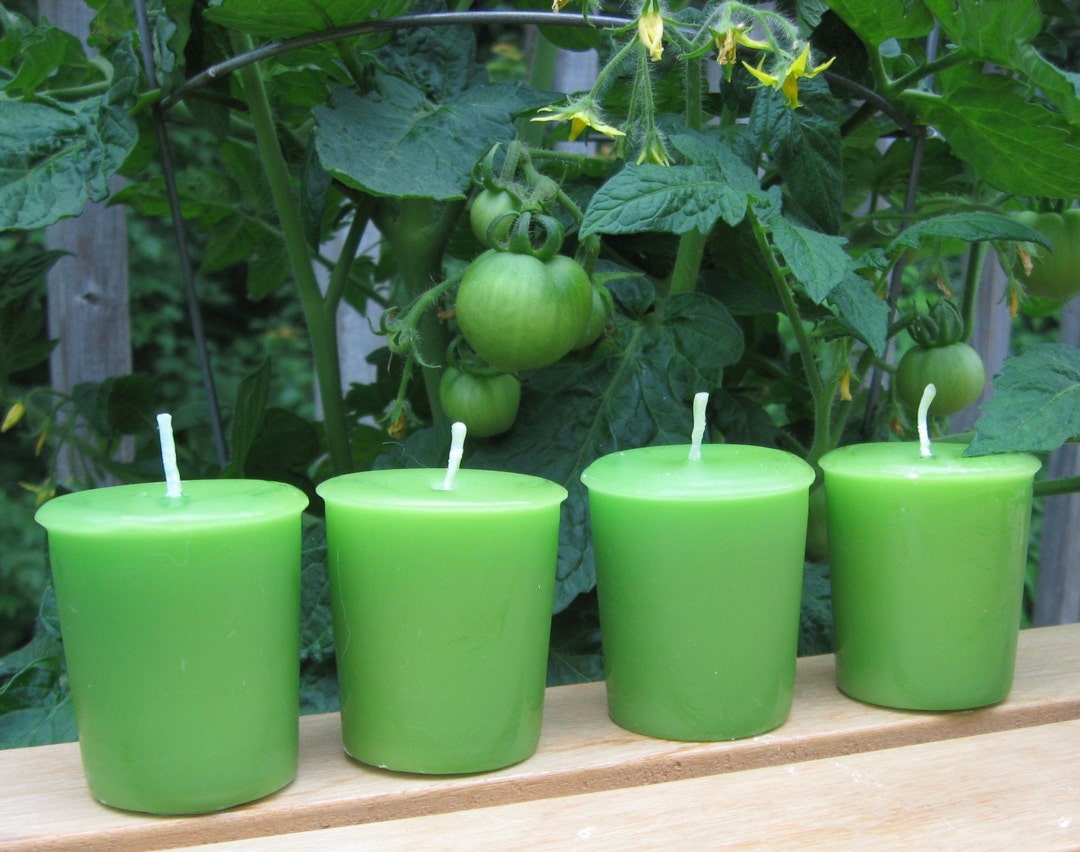 TOMATO PLANT (4 Votives) - Etsy