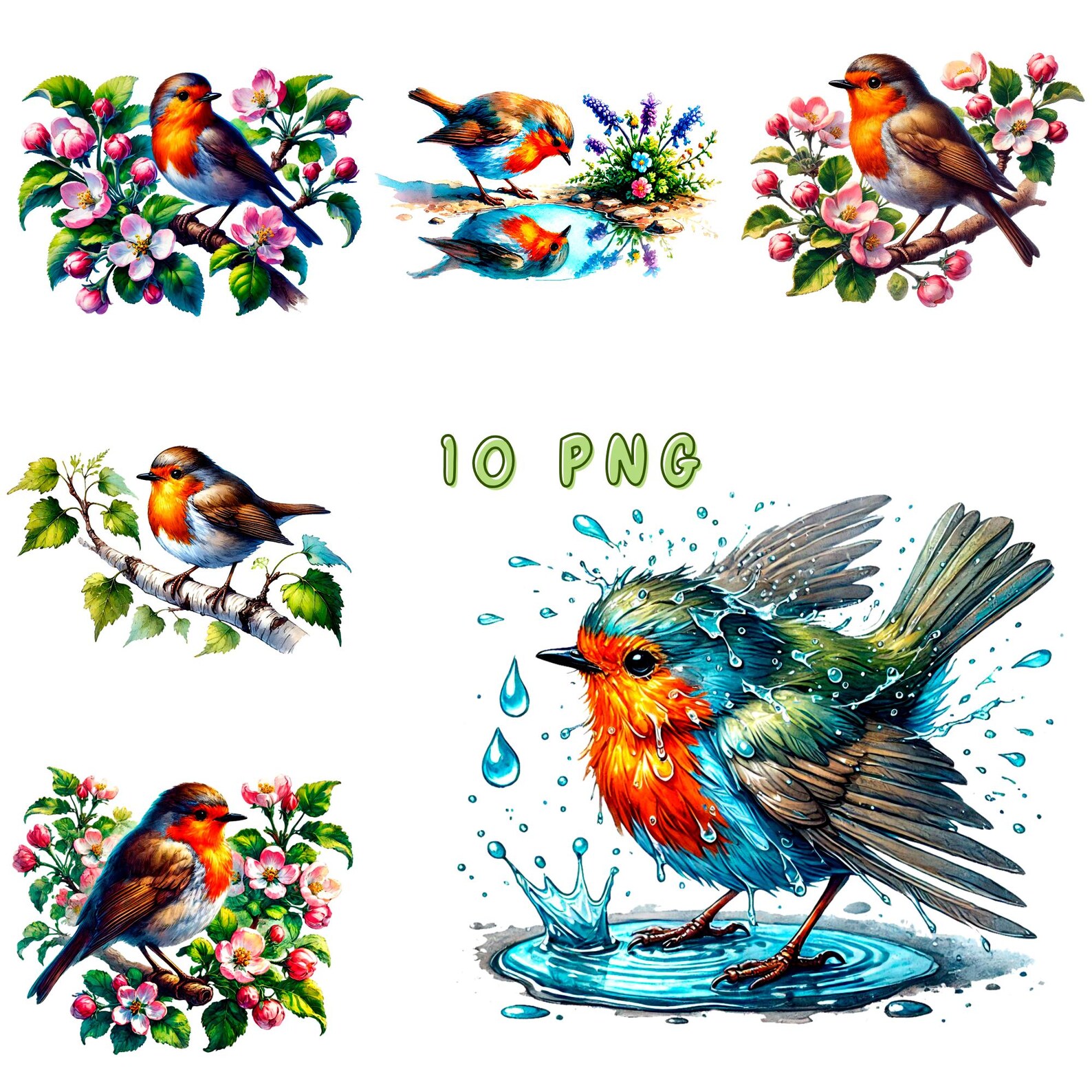 10 Robin Bird Clipart PNG Watercolor Funny Robin Bird Clipart Bundle ...
