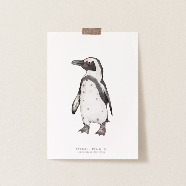 Penguin Card - Etsy