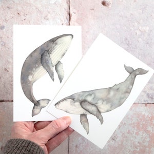 Humpback Whale Postcards Set of Two | Etsy