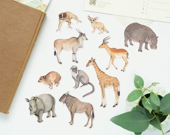 African wildlife | Etsy