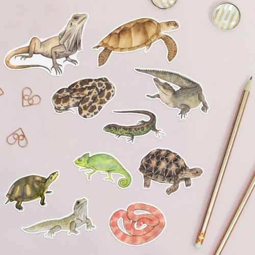 Reptile Sticker Pack Watercolour Animal Illustrations - Etsy UK