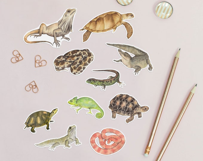 Reptile Sticker Pack Watercolour Animal Illustrations - Etsy UK