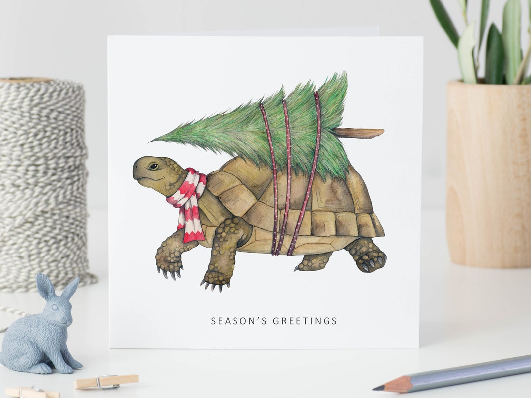 Tortoise Animal Christmas Card - Etsy UK