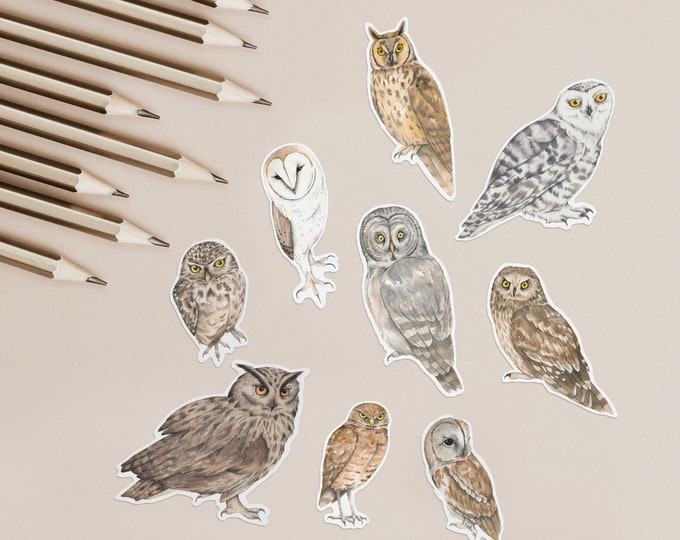 Owl Sticker Pack - Watercolour Bird Illustrations - Etsy