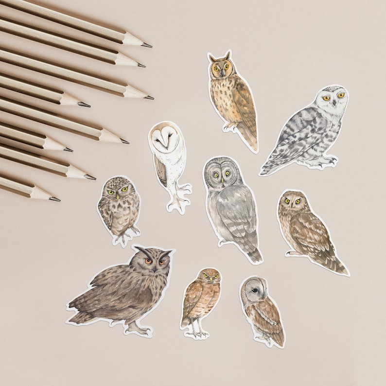 Owl sticker pack watercolour bird illustrations | Etsy