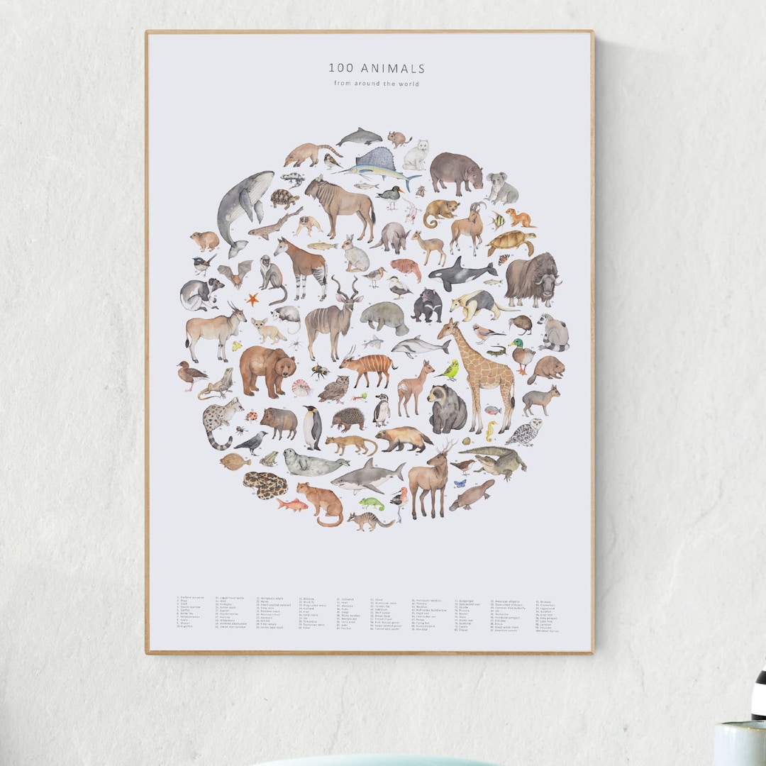 Wildlife Poster Print - 100 Animals - Etsy