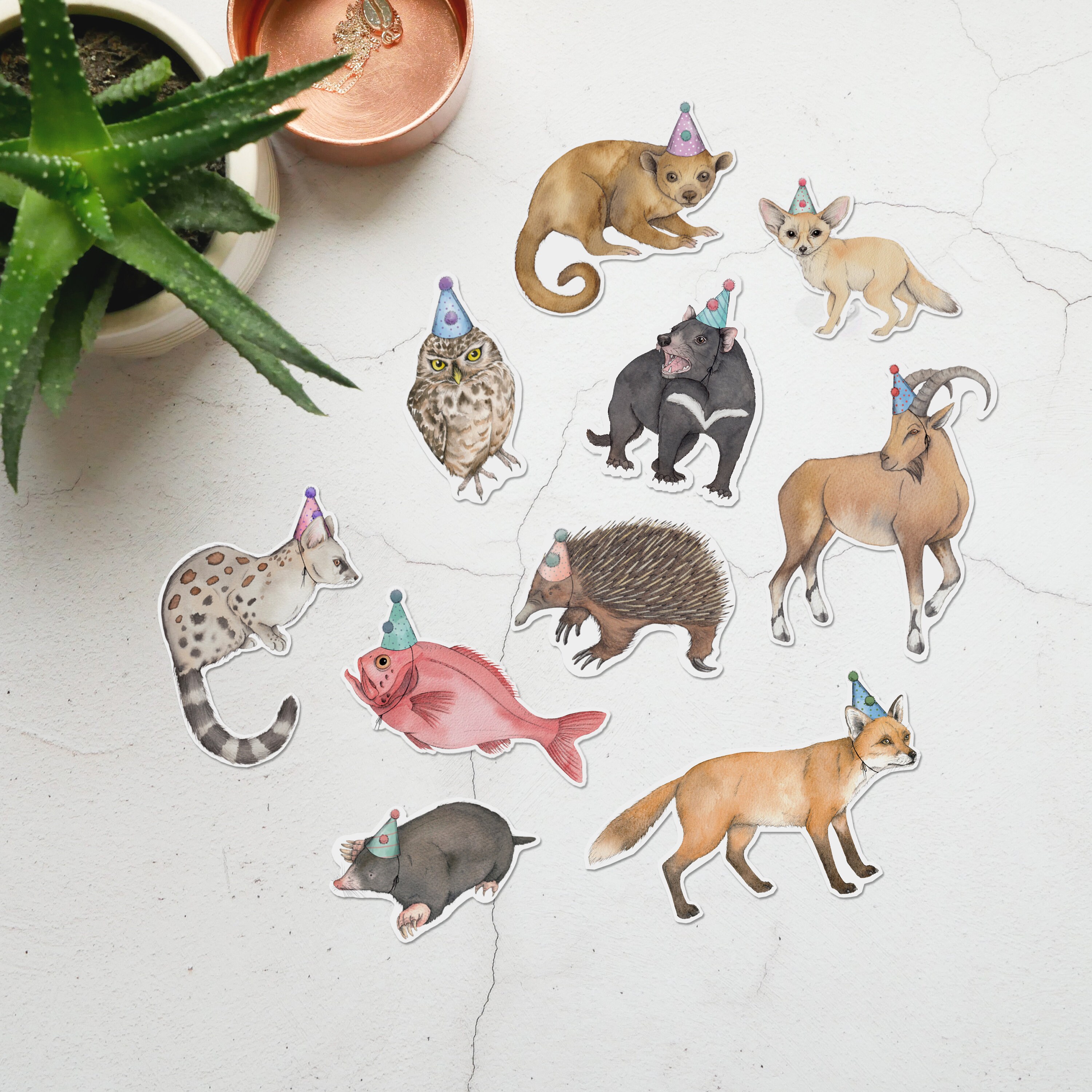 Party Animal sticker set | Etsy