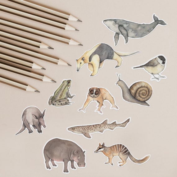 Animal Sticker Pack - Etsy
