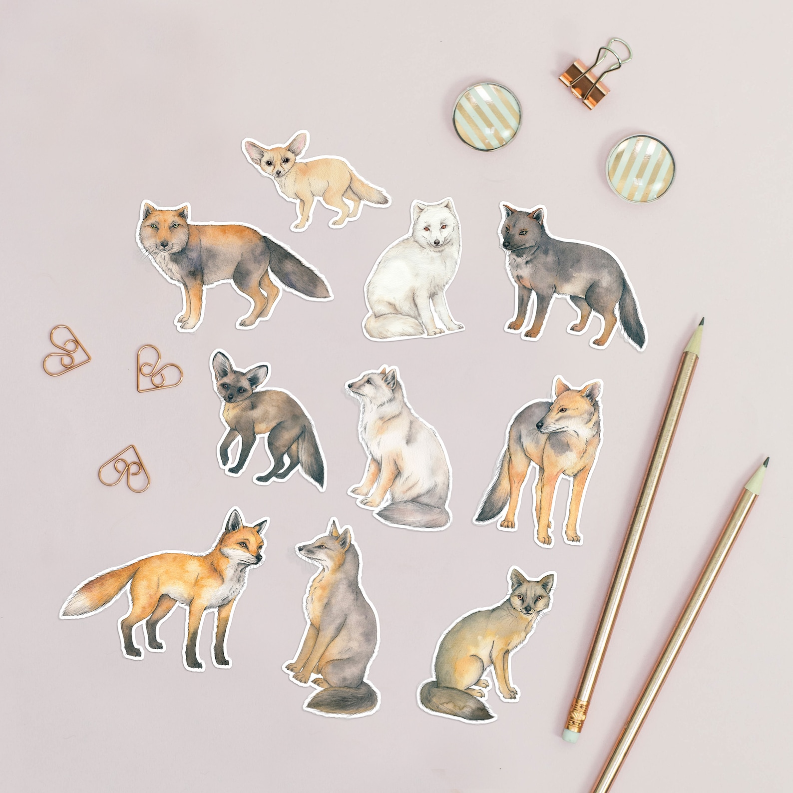 Fox Illustration Animal Stickers | Etsy