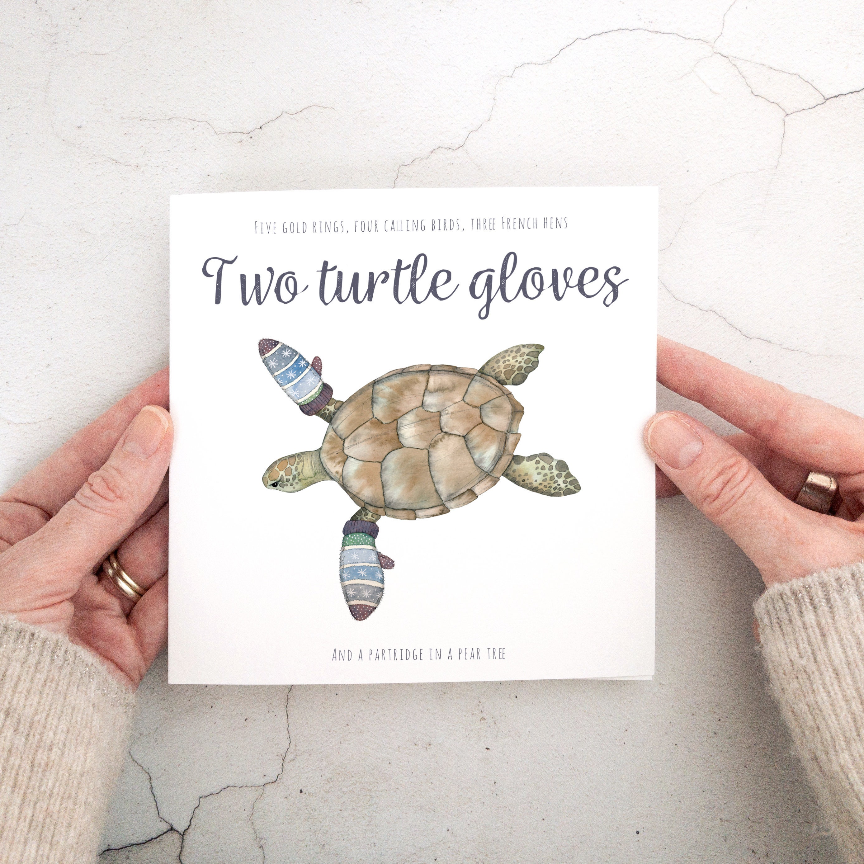 Turtle Christmas Card 12 Days of Christmas | Etsy