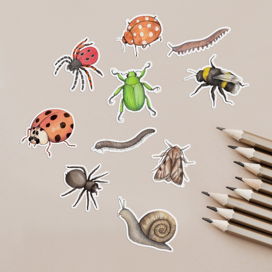 Minibeast Animal Stickers - Etsy