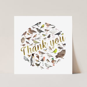 Bird Thank You Card - Etsy