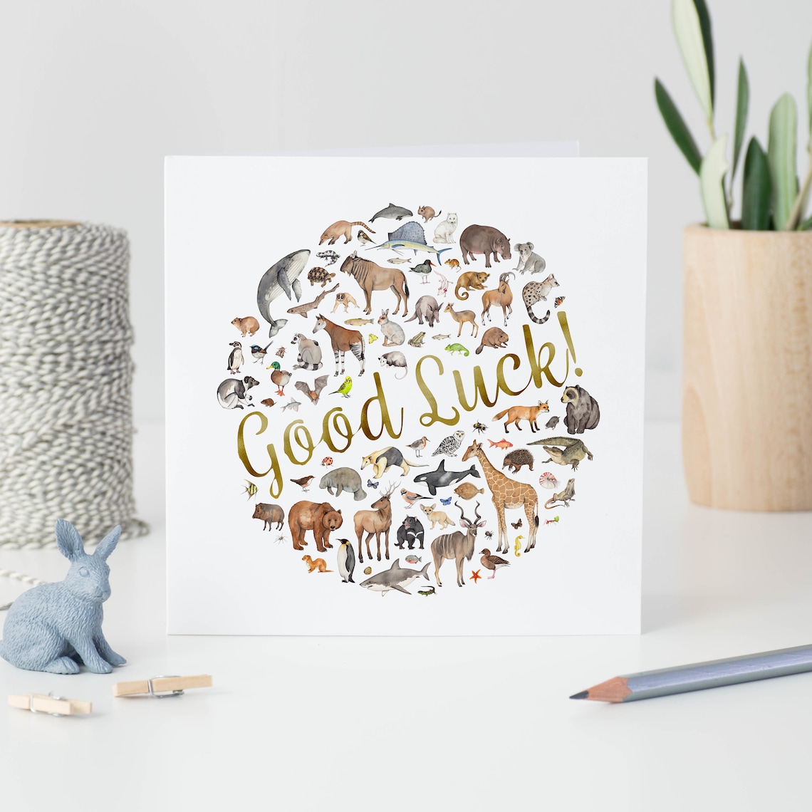 Good Luck Card With Animal Illustrations - Etsy