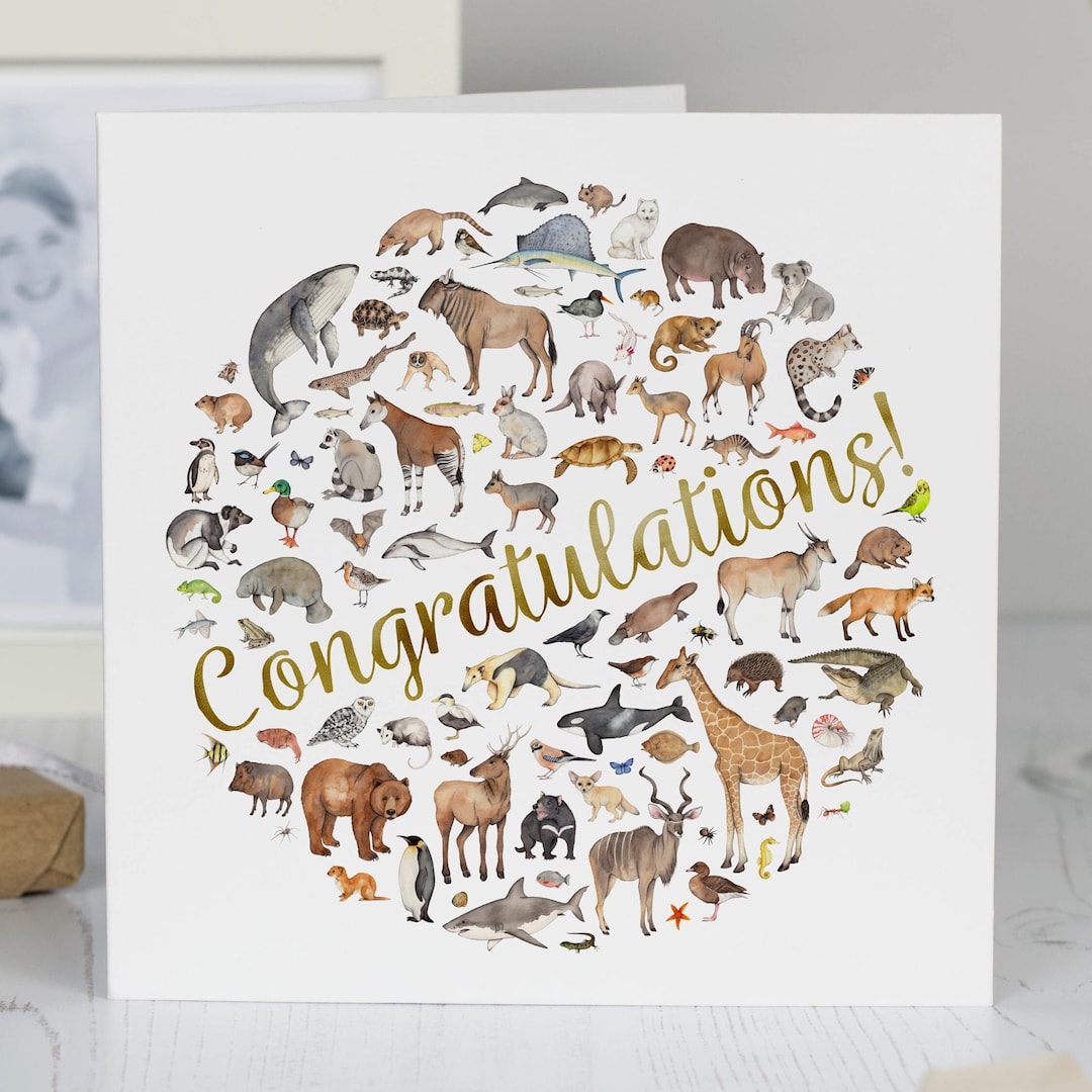Congratulations Animal Greetings Card - Etsy