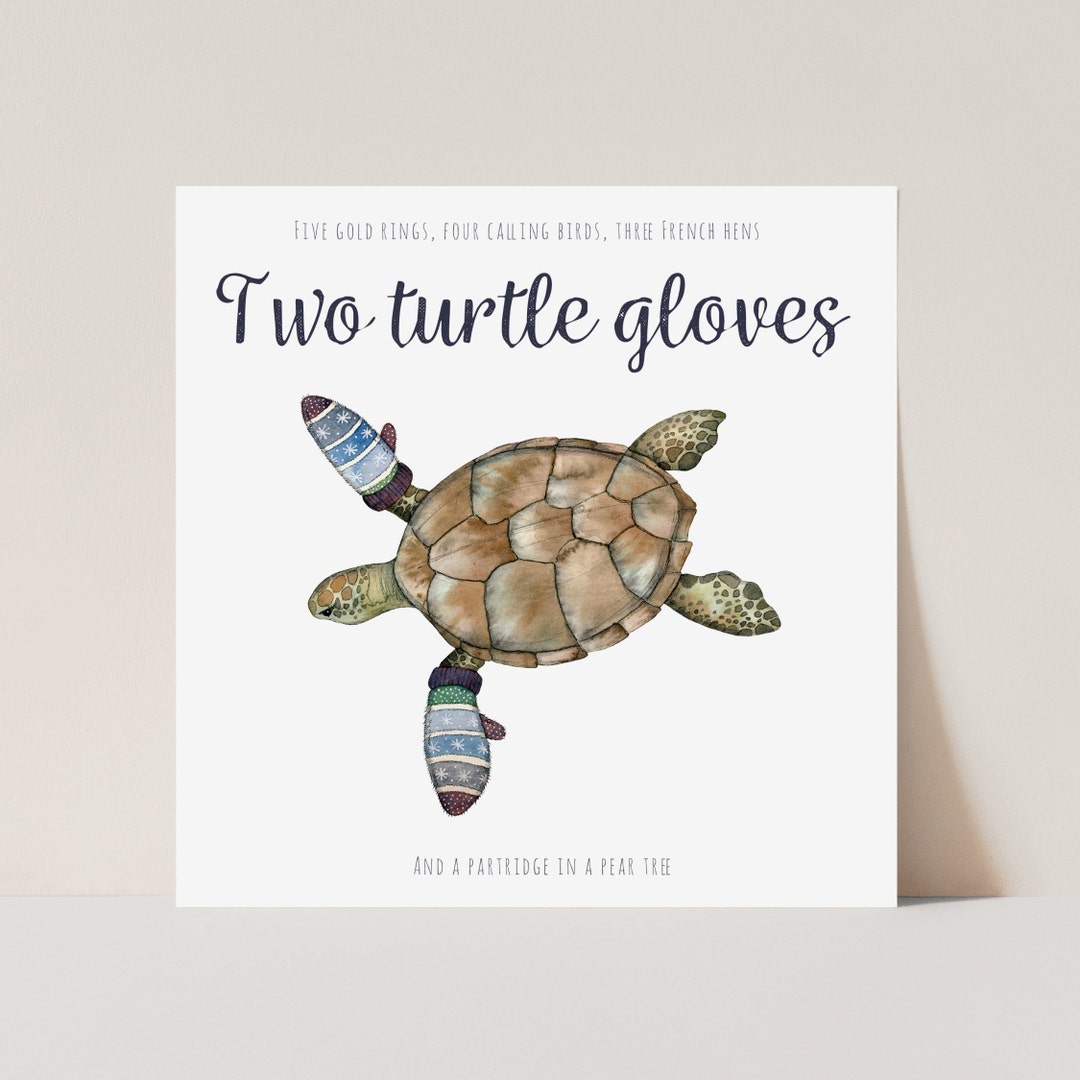 Turtle Christmas Card 12 Days of Christmas - Etsy Australia