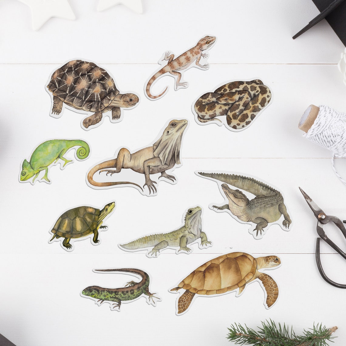 Reptile Sticker Pack - Watercolour Animal Illustrations - Etsy UK
