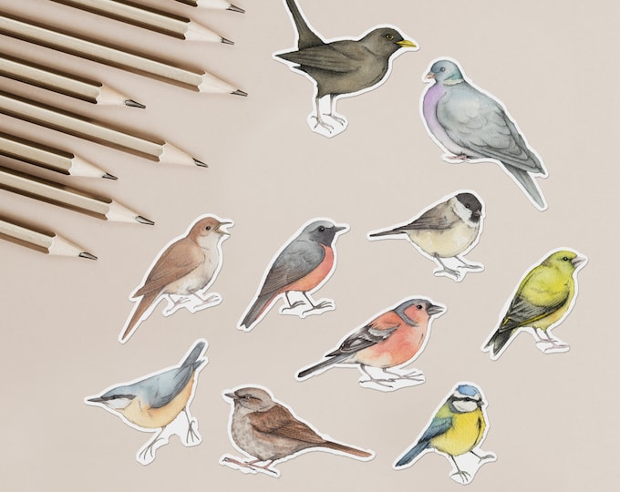 Bird Paper Stickers - Etsy