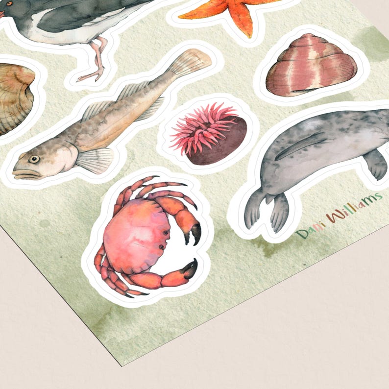 Seashore Animal Sticker Sheet - Etsy UK